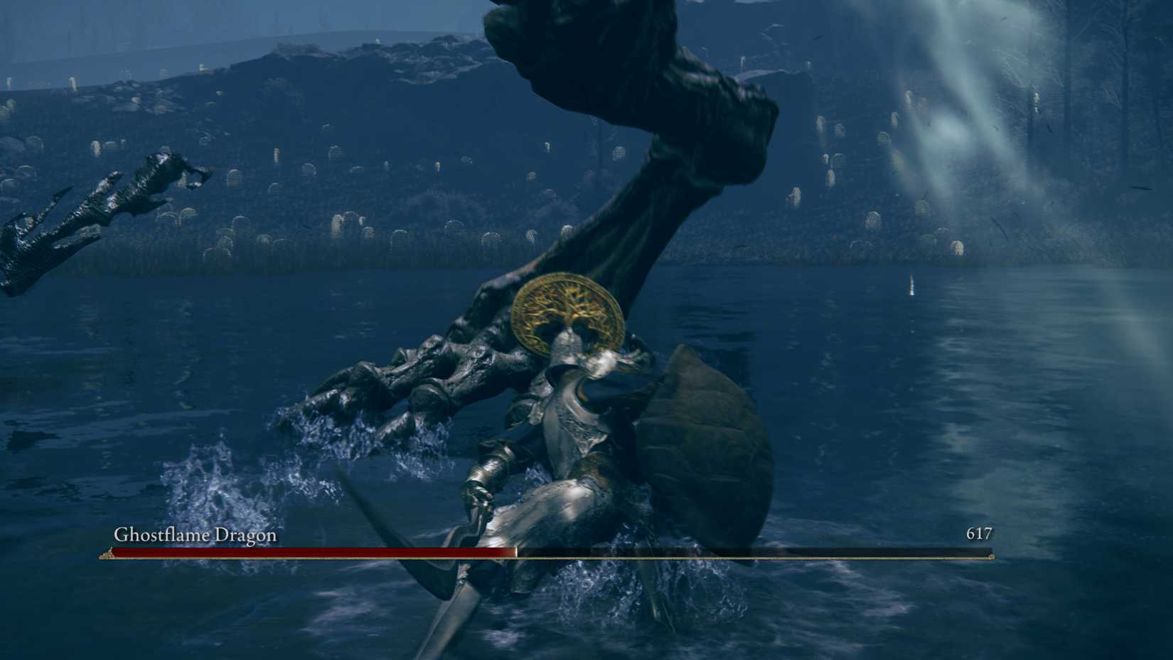 two dragons fighting elden ring dlc