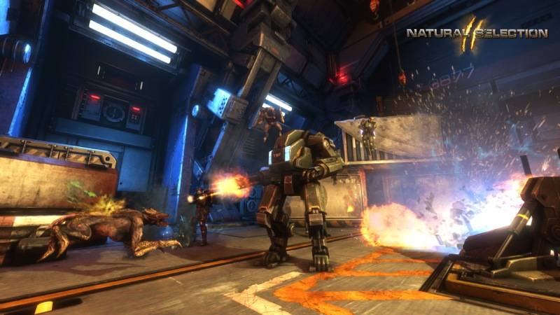 natural selection multiplayer