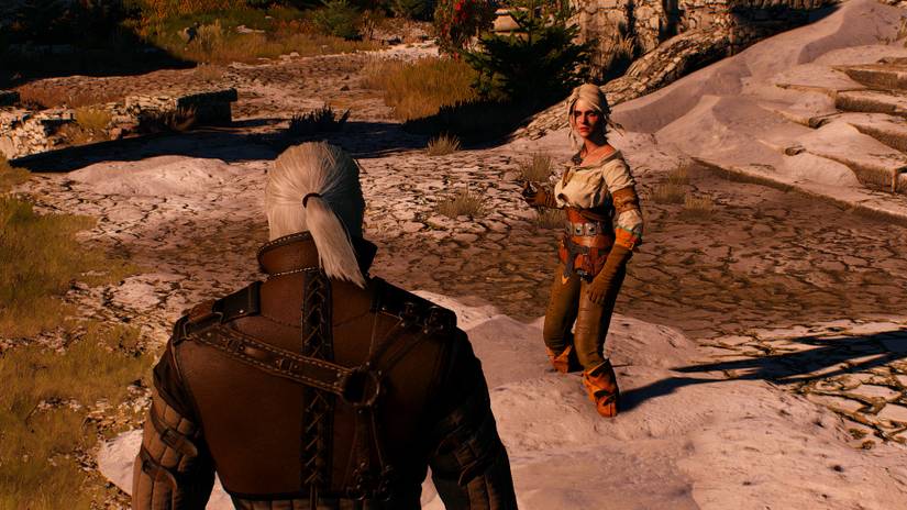 heroic pose witcher 3