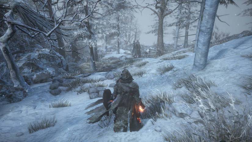 Dark Souls 3: Ashes of Ariandel walkthrough 2. Rope Bridge Cave bonfire
