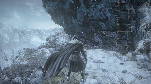 Dark Souls 3: Ashes of Ariandel walkthrough 2. Rope Bridge Cave bonfire