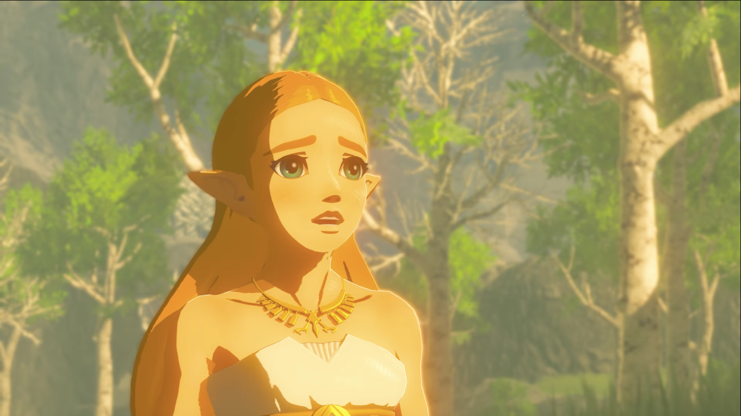 zelda's intervention