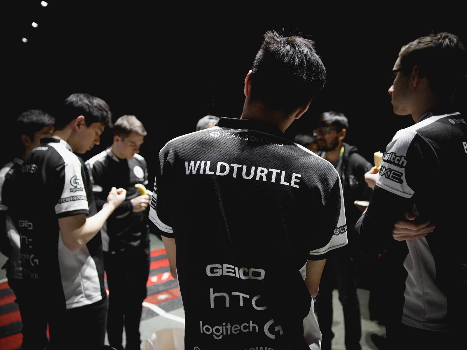 wildturtle tsm