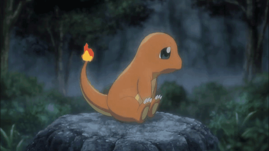 charmander animates