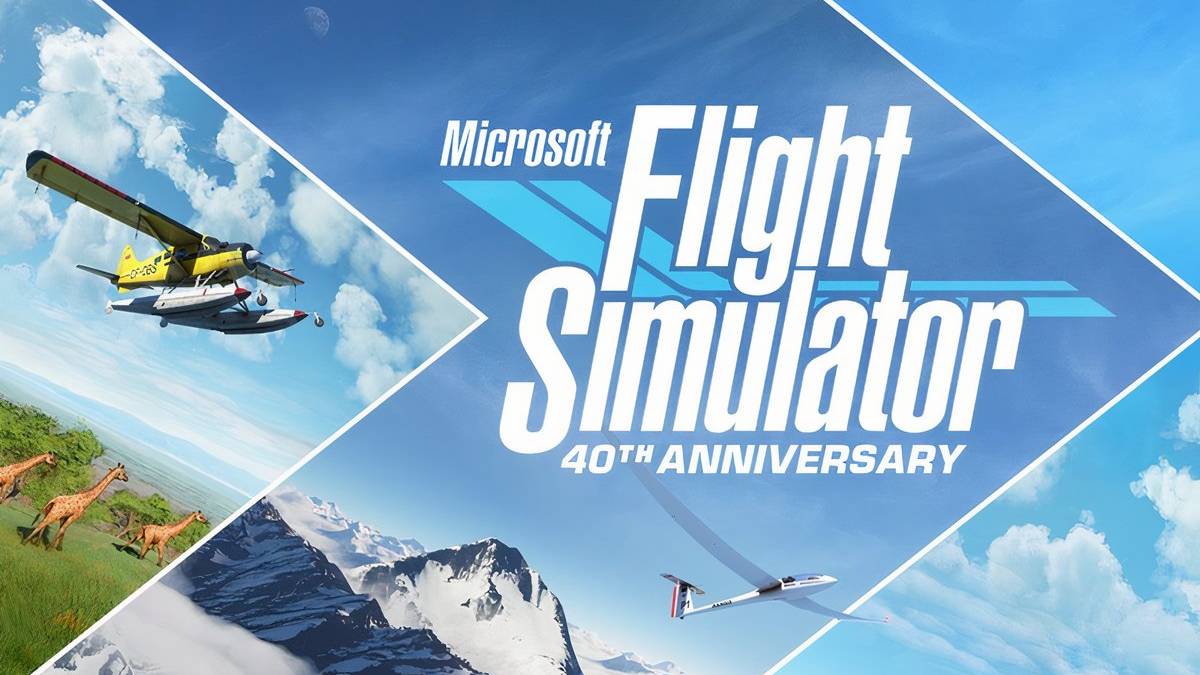 Microsoft Flight Simulator | Polygon.com