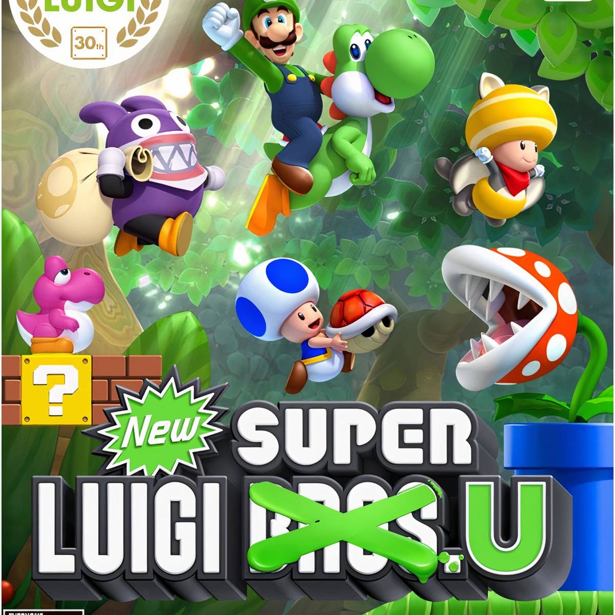 El Año De Luigi